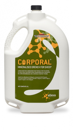 Corporal Mineralised Drench for Sheep - Alleva Animal Health New Zealand