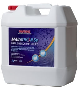 MARATHON® Se Oral Drench for Sheep - Alleva Animal Health New Zealand